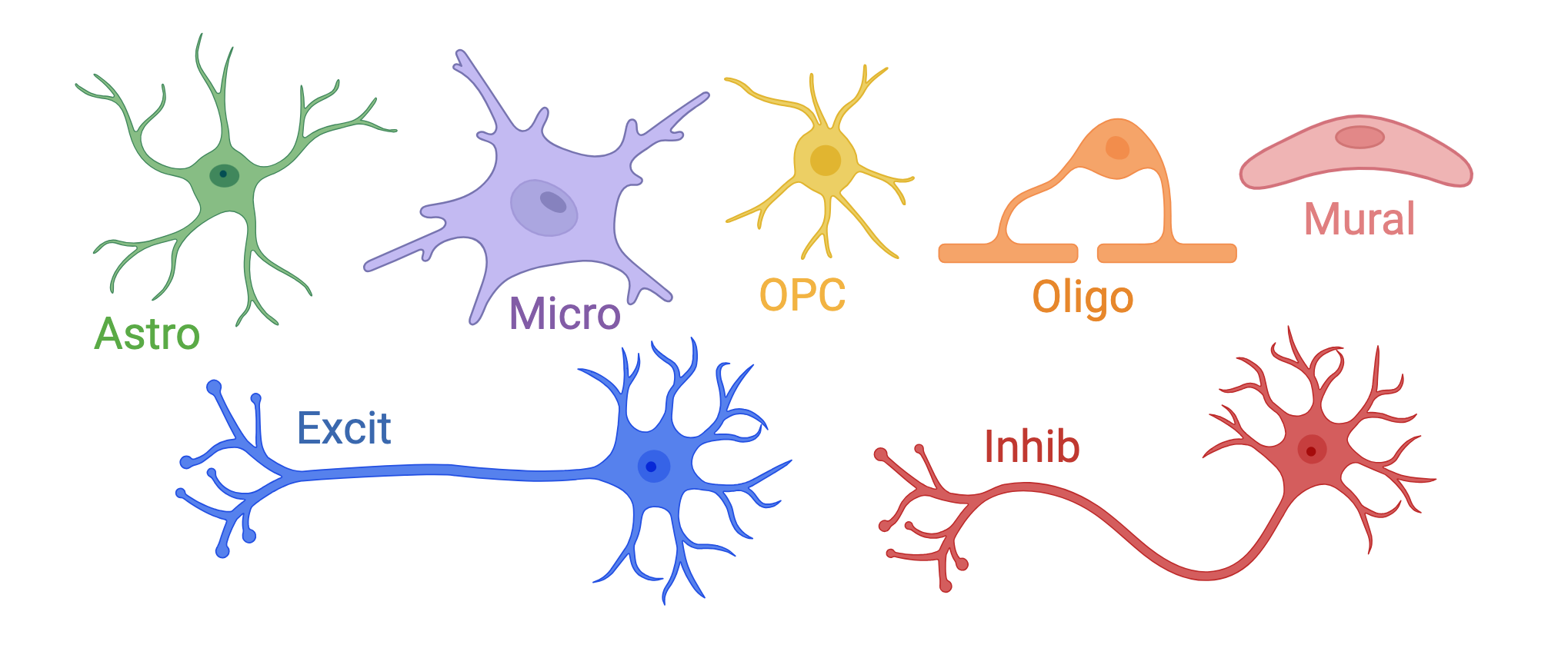 Louise A. Huuki-Myers - Spatial DLPFC: TL;DR